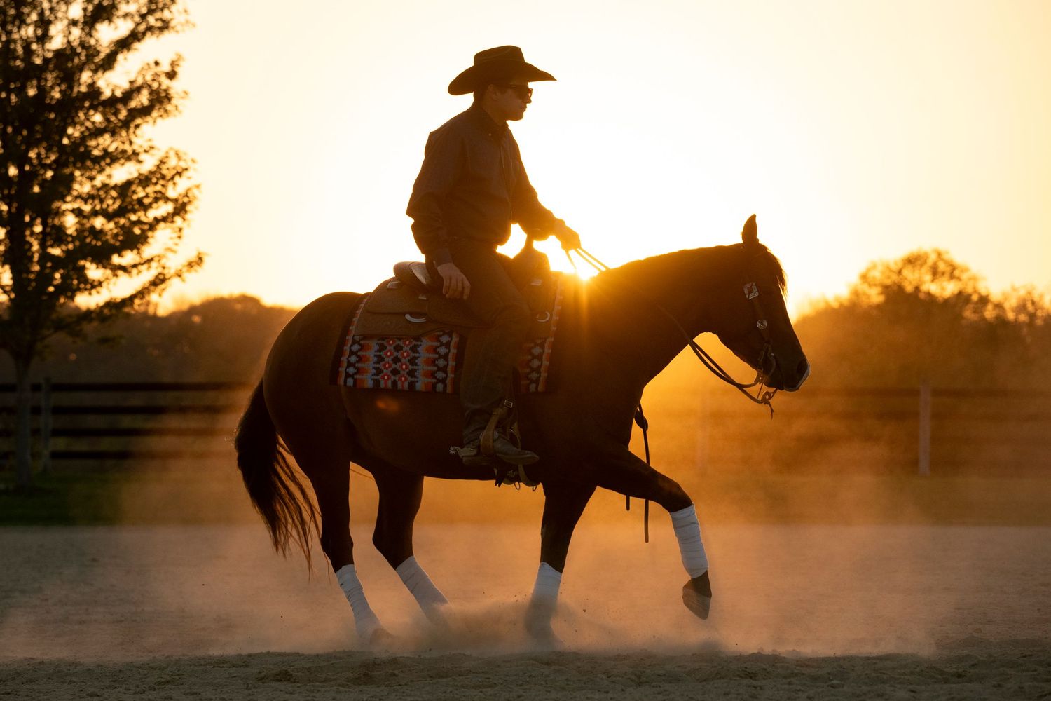 Charis Colson Photography