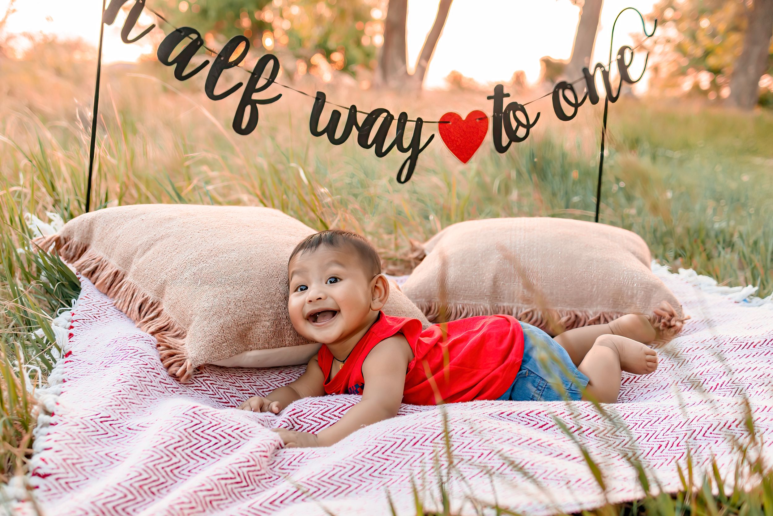 What is a sitter session photoshoot? | Aurora Newborn Photographer