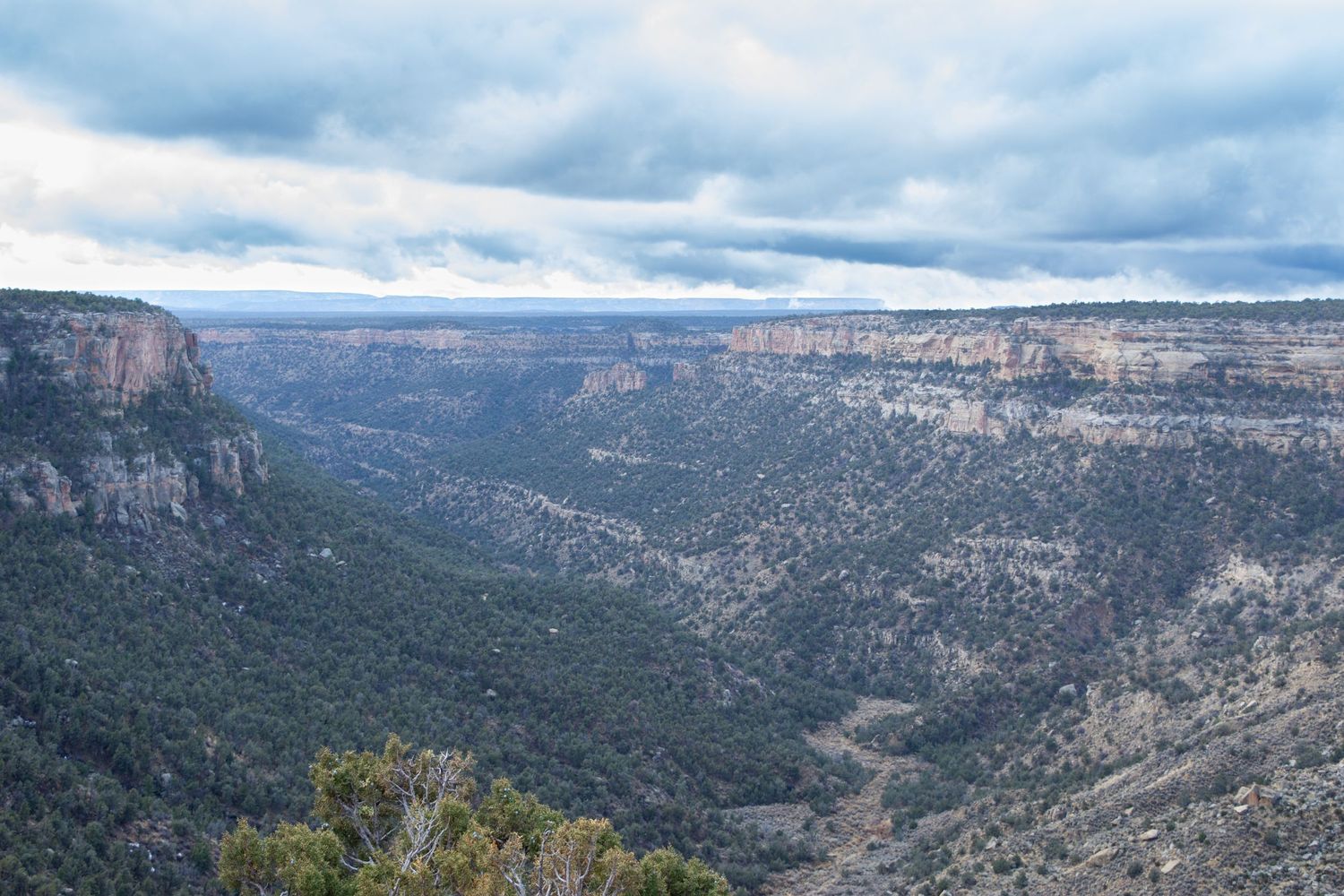 Portfolio - Bold Focus Media - Photography