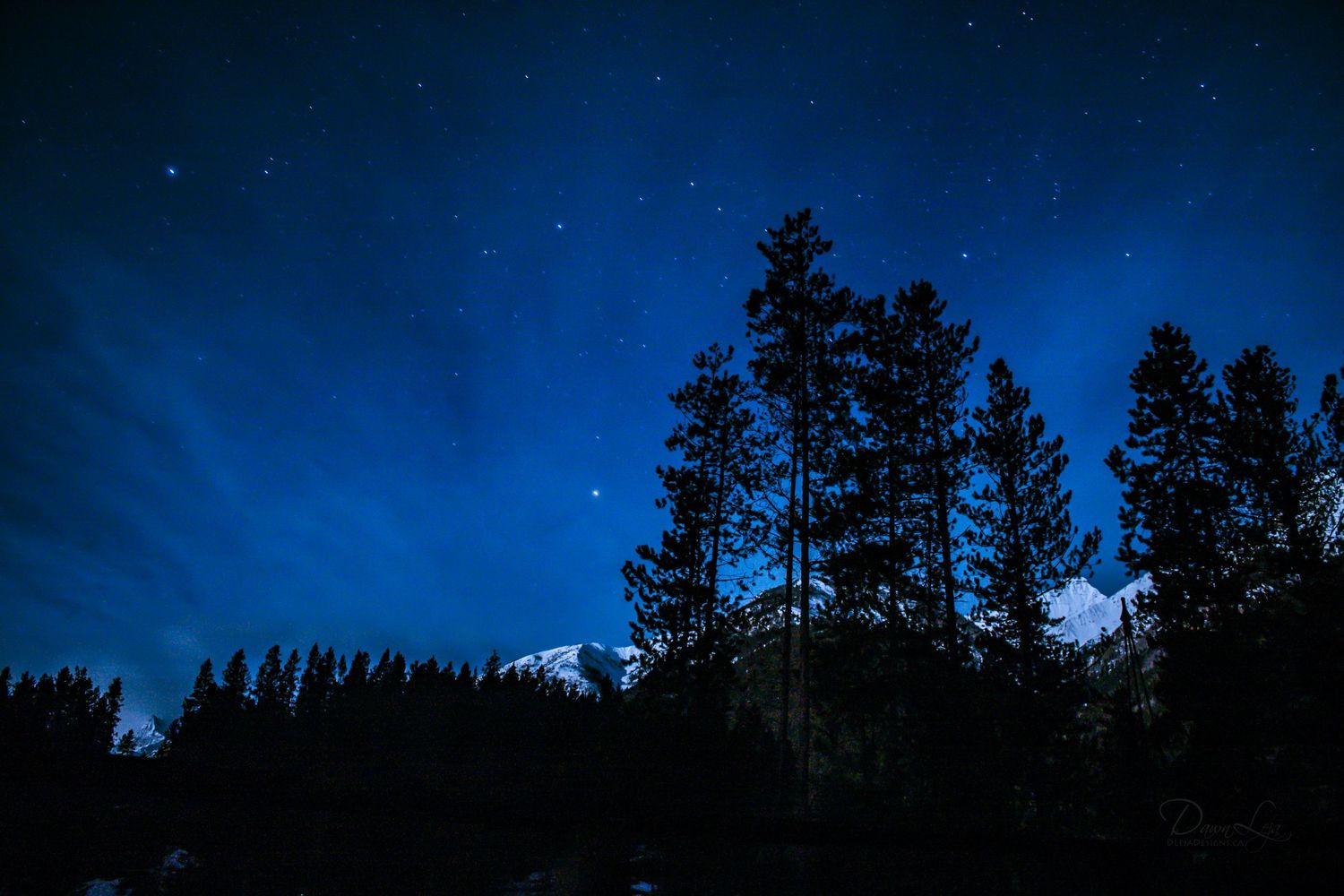 Portfolio - Dawn Leja Photography