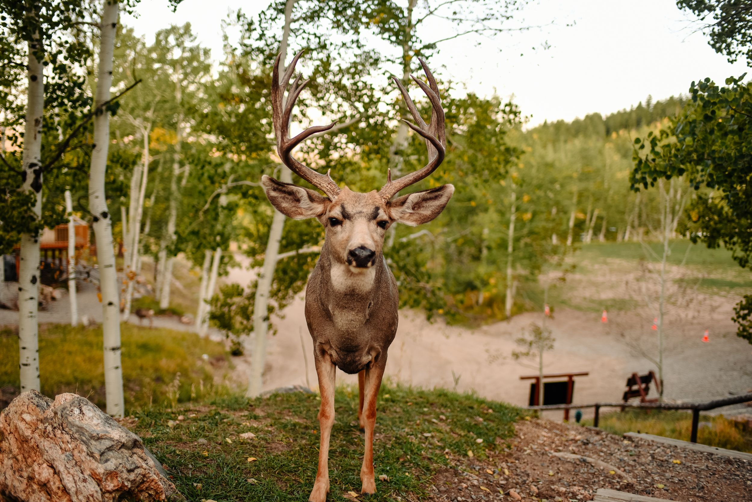 Adventures - Ashley Howland Photography