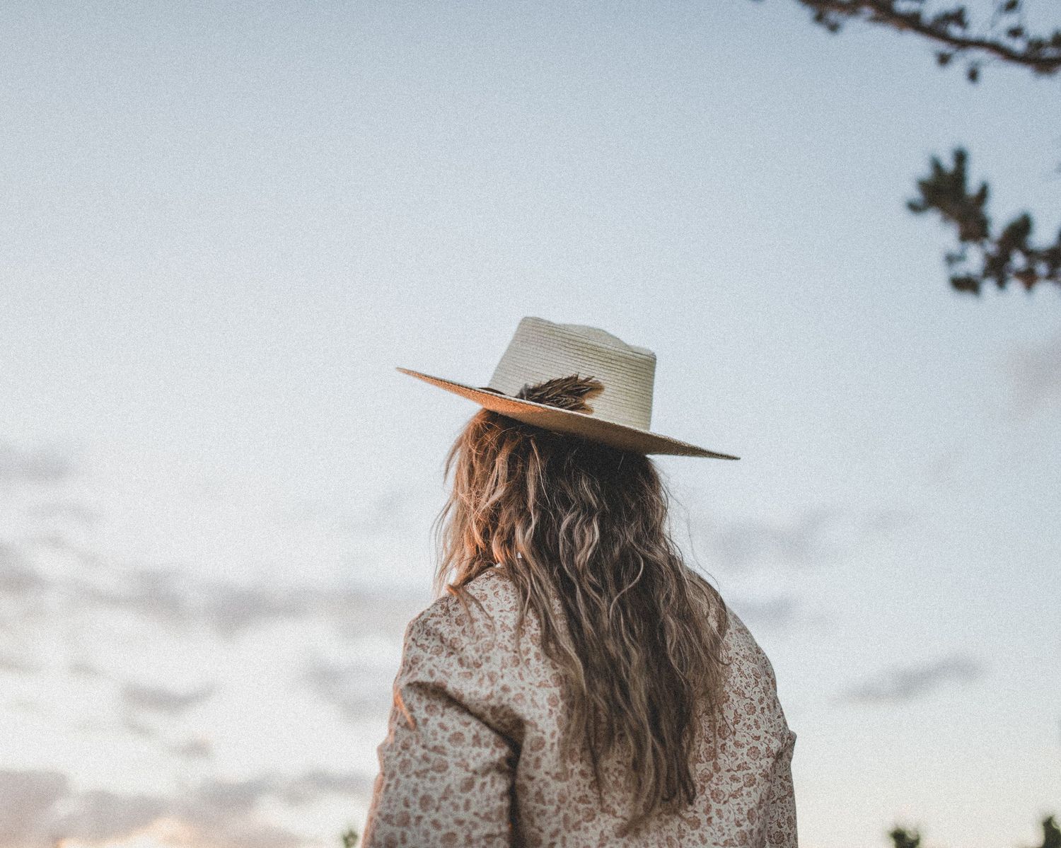 Content Creative - Blue Roan Photo