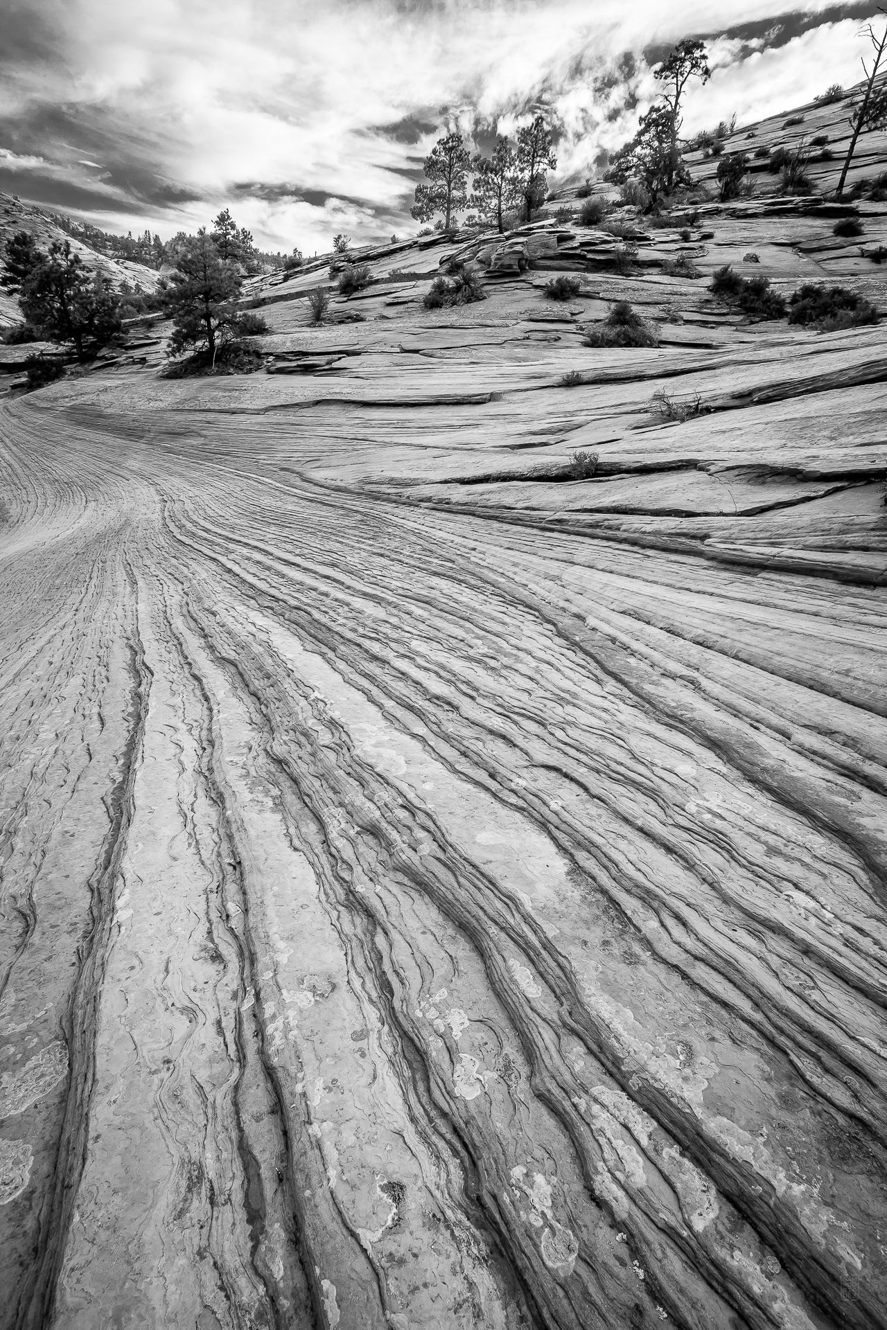 Landscapes - Sam Rodriguez Photography