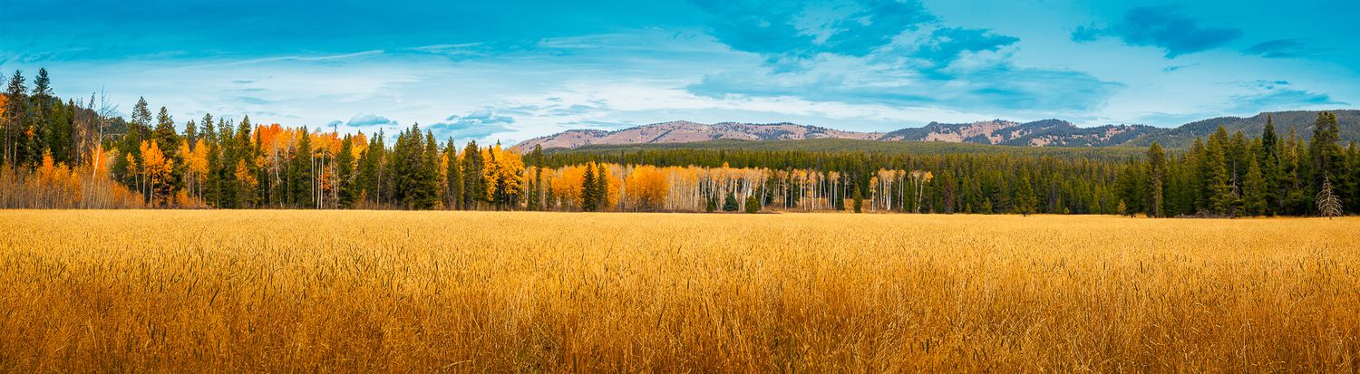 Landscapes - Sam Rodriguez Photography