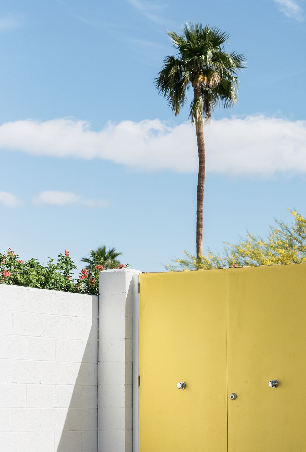 Palm Springs - Mimi Payne Photography