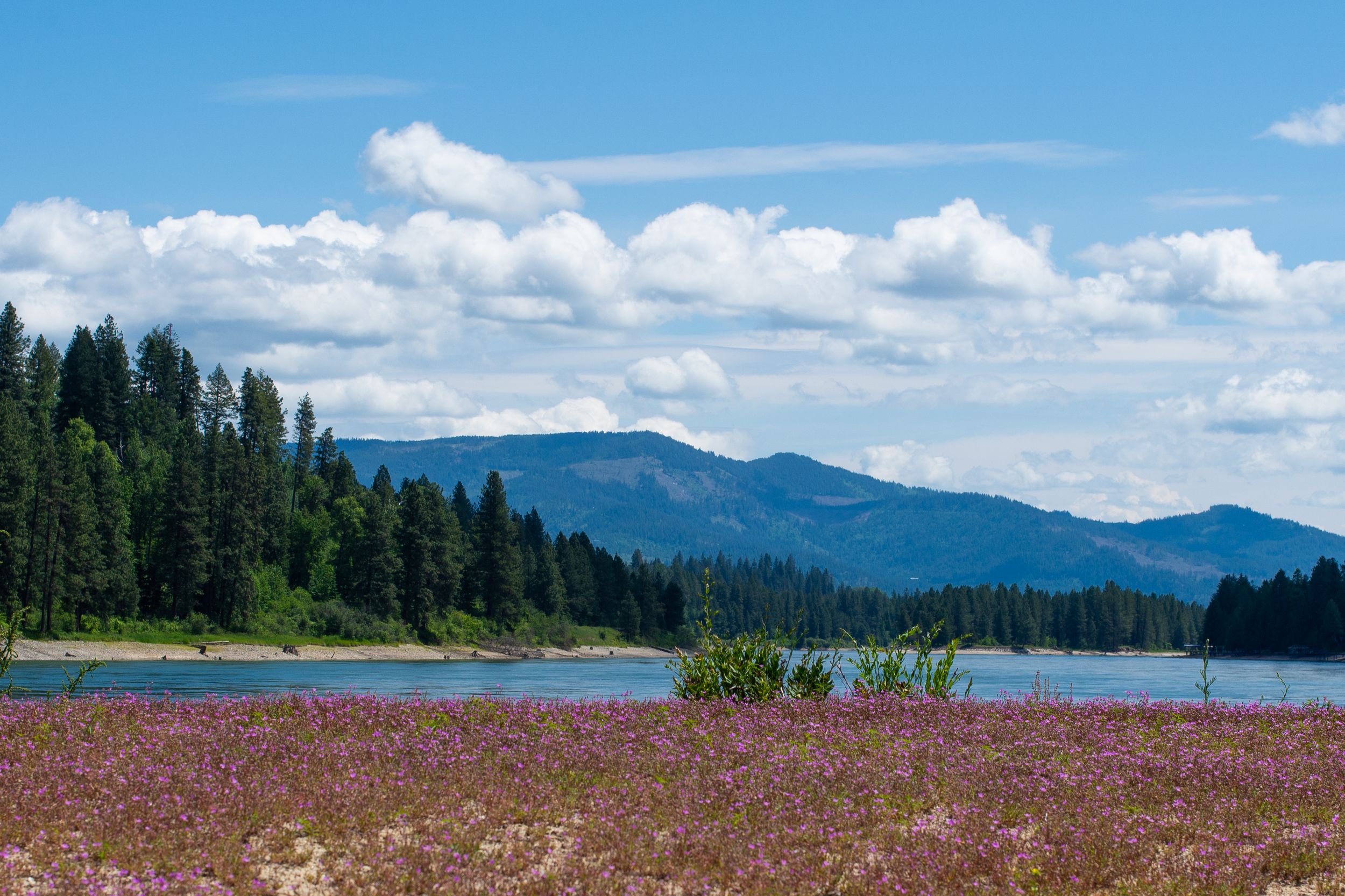 Memory Lane Photography