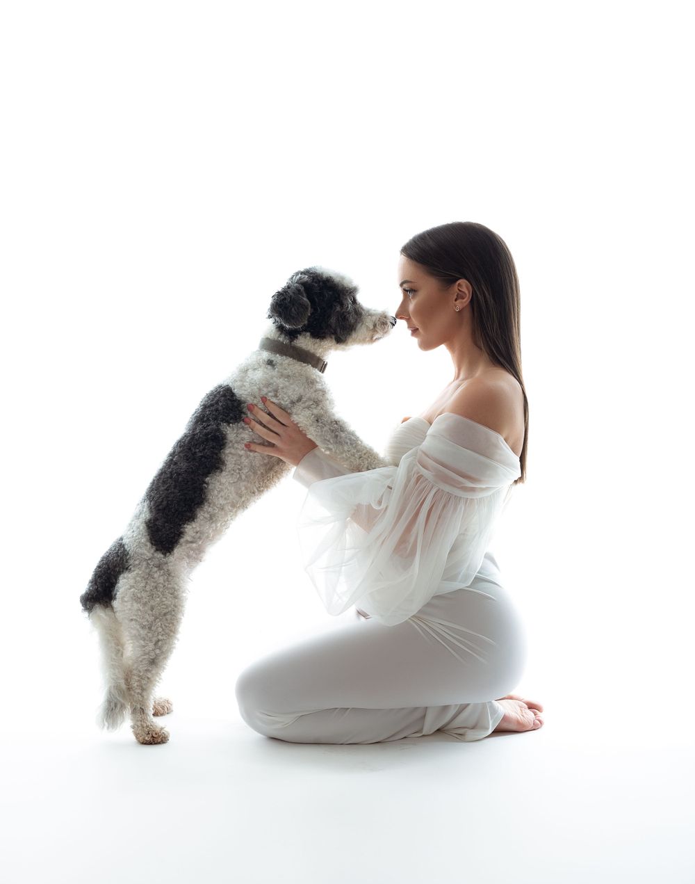 Studio Art - Barbara Toth Photography