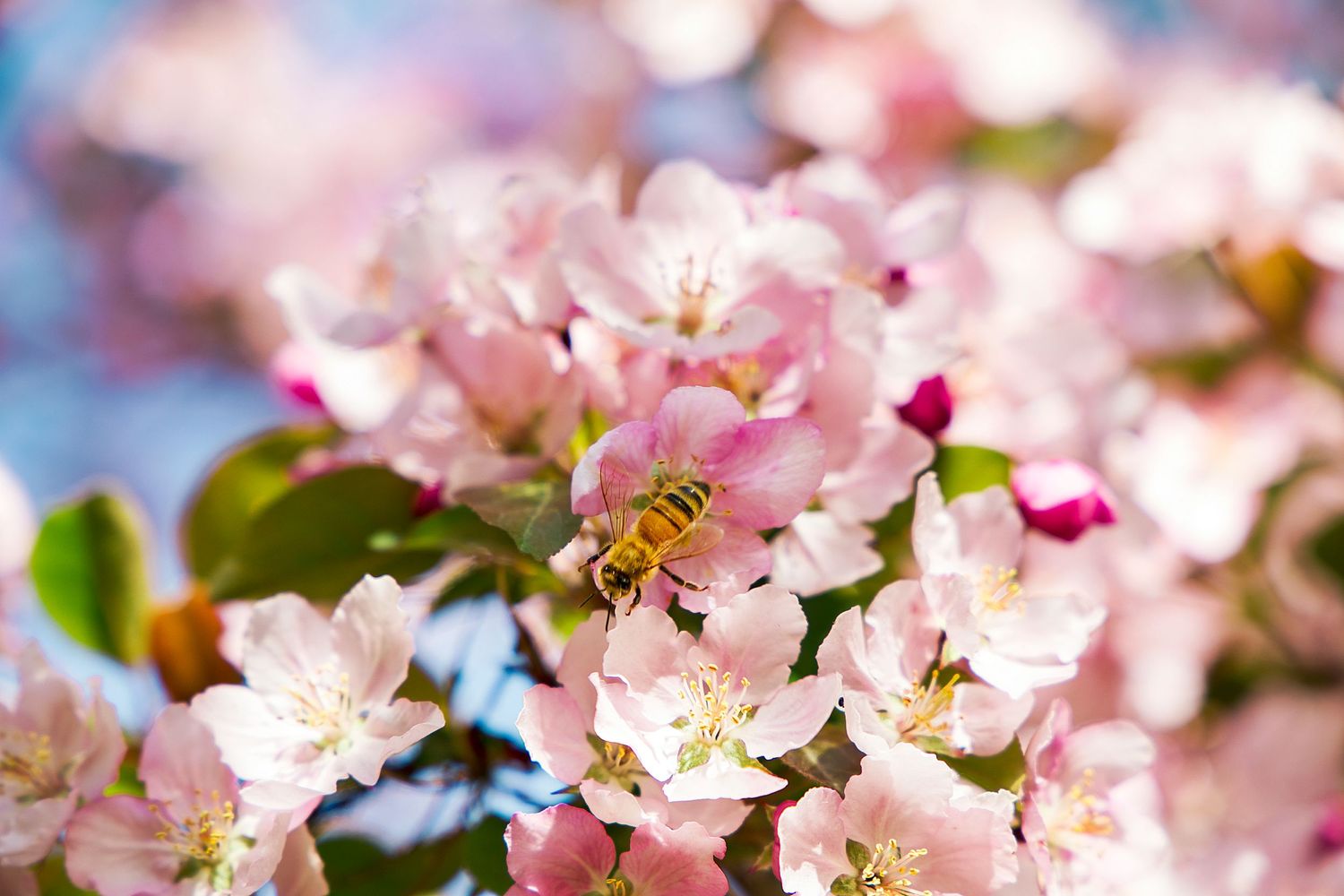 outdoors - Jessica Edinger Creative