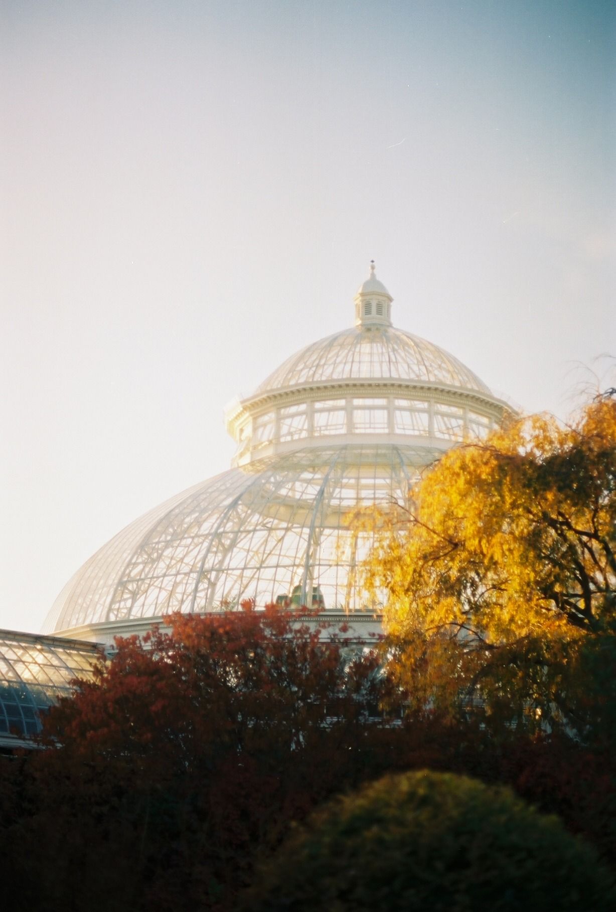 Art Photography - Steven Ruggiero - Reflex Media