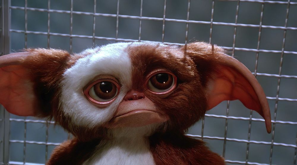 Gremlins 2 Hero Animatronic Gizmo Movie Prop - The Gremlins Museum