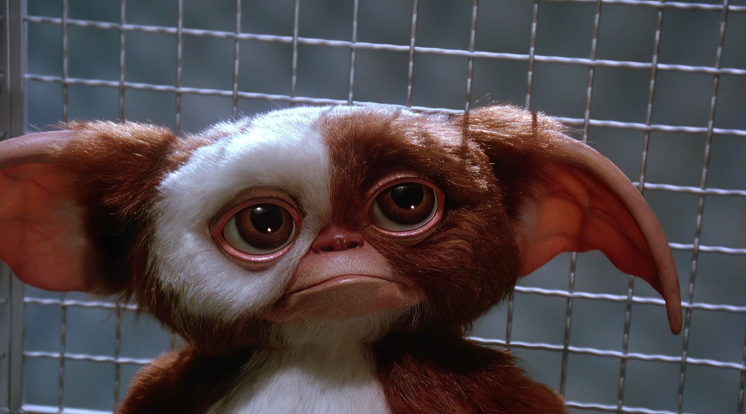 Gremlins 2 Hero Animatronic Gizmo Movie Prop - The Gremlins Museum