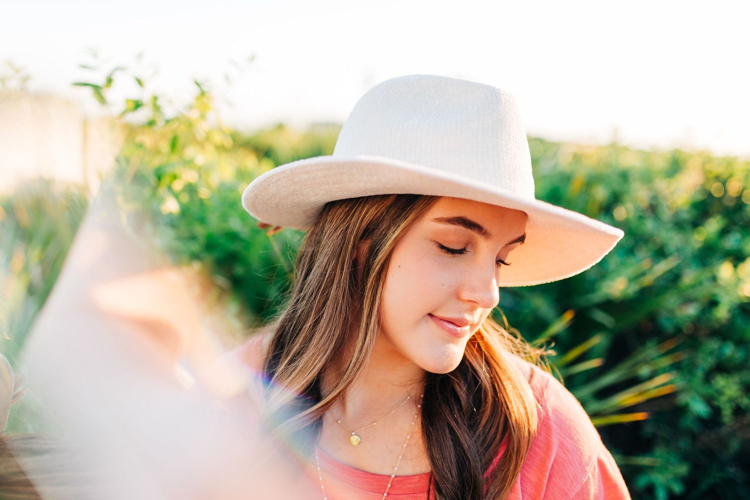 Abigail O'Laughlin Photography