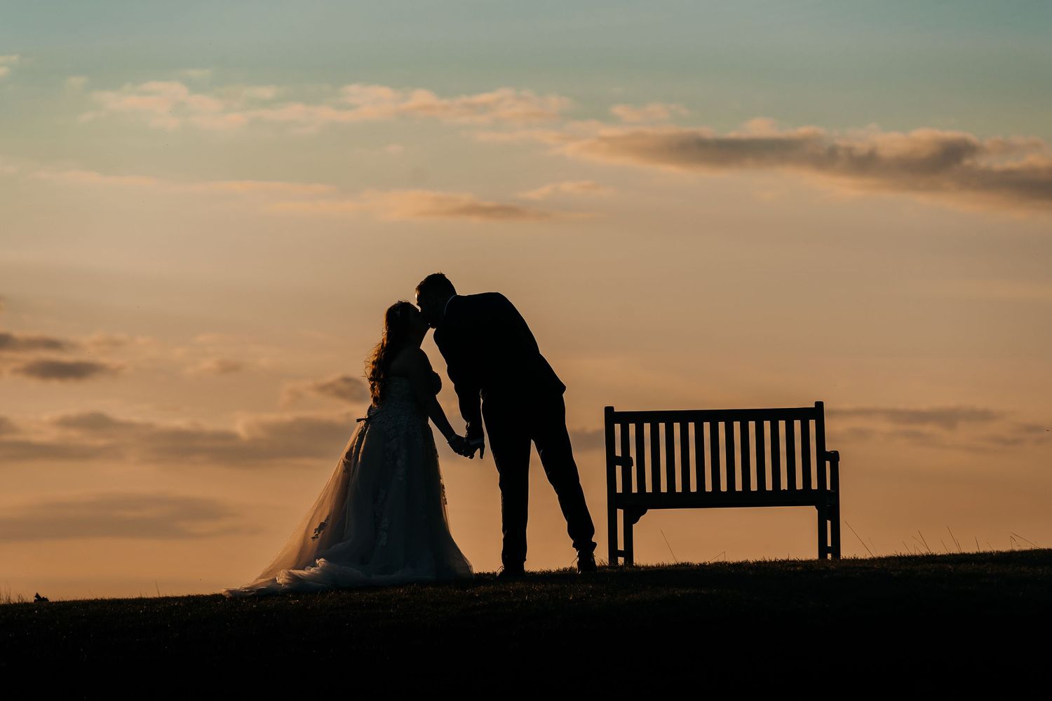 David Cook Photography