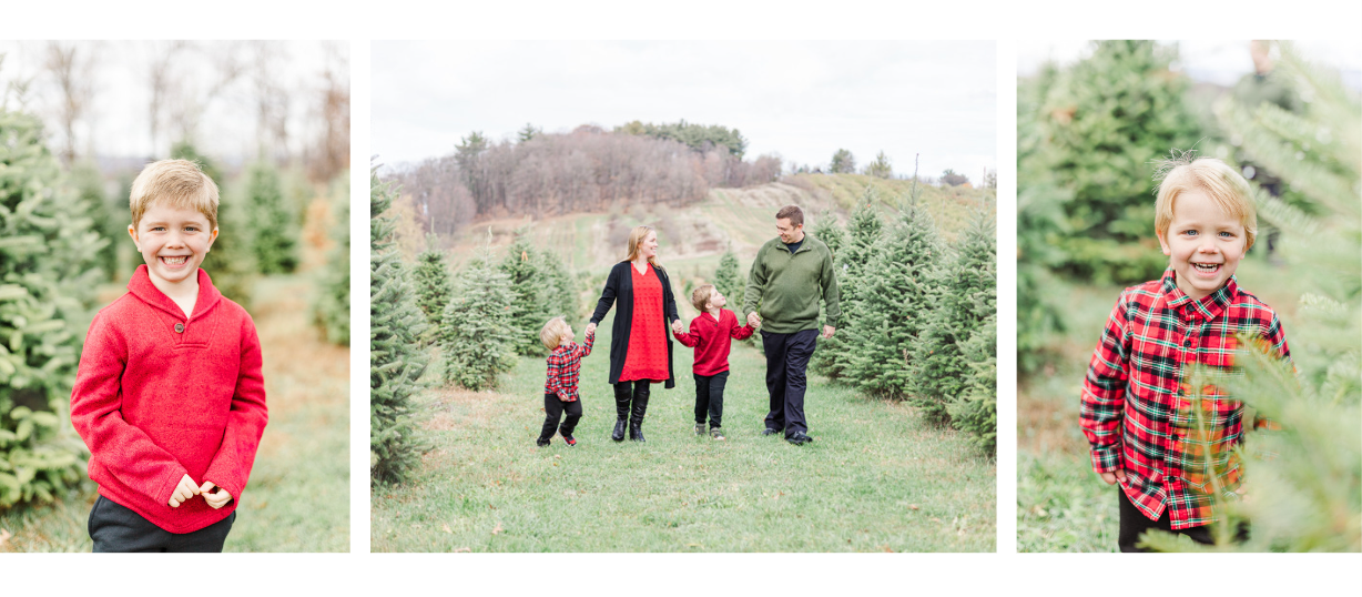 Holiday Snap Secrets: 7 Tips to Perfect Your Cell Phone Family Photos ...