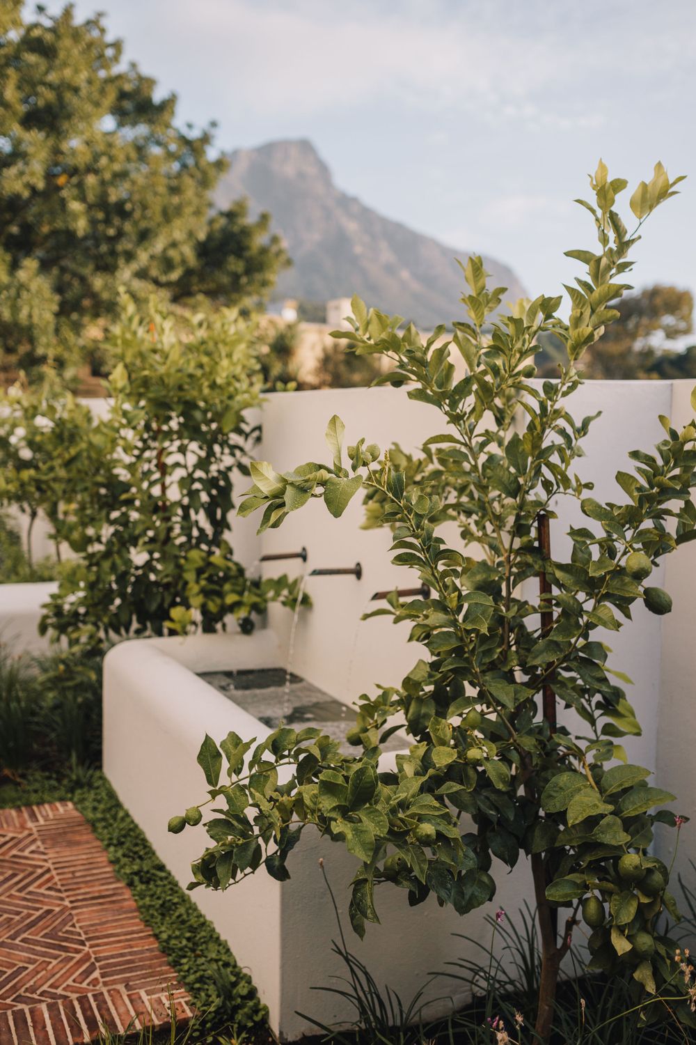 Wayne & Lea - Josephine Garden Design