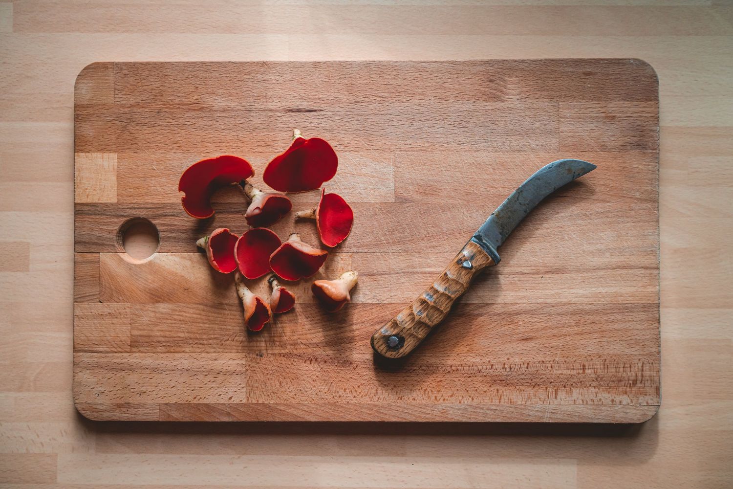 Scarlet or Ruby Elf Cup - The Grizzly Forager: The Definitive Guide to ...