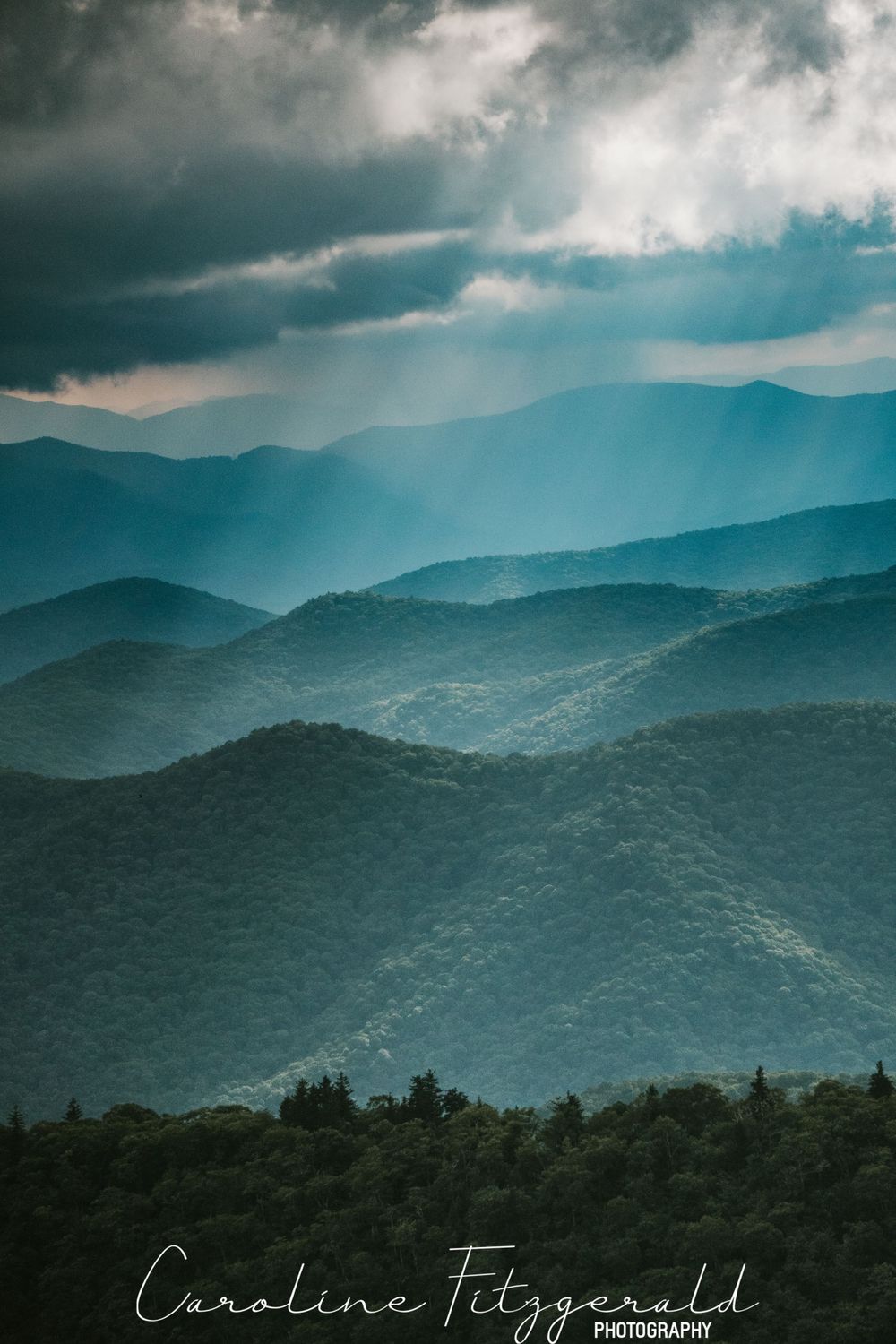 Caroline Fitzgerald Photography