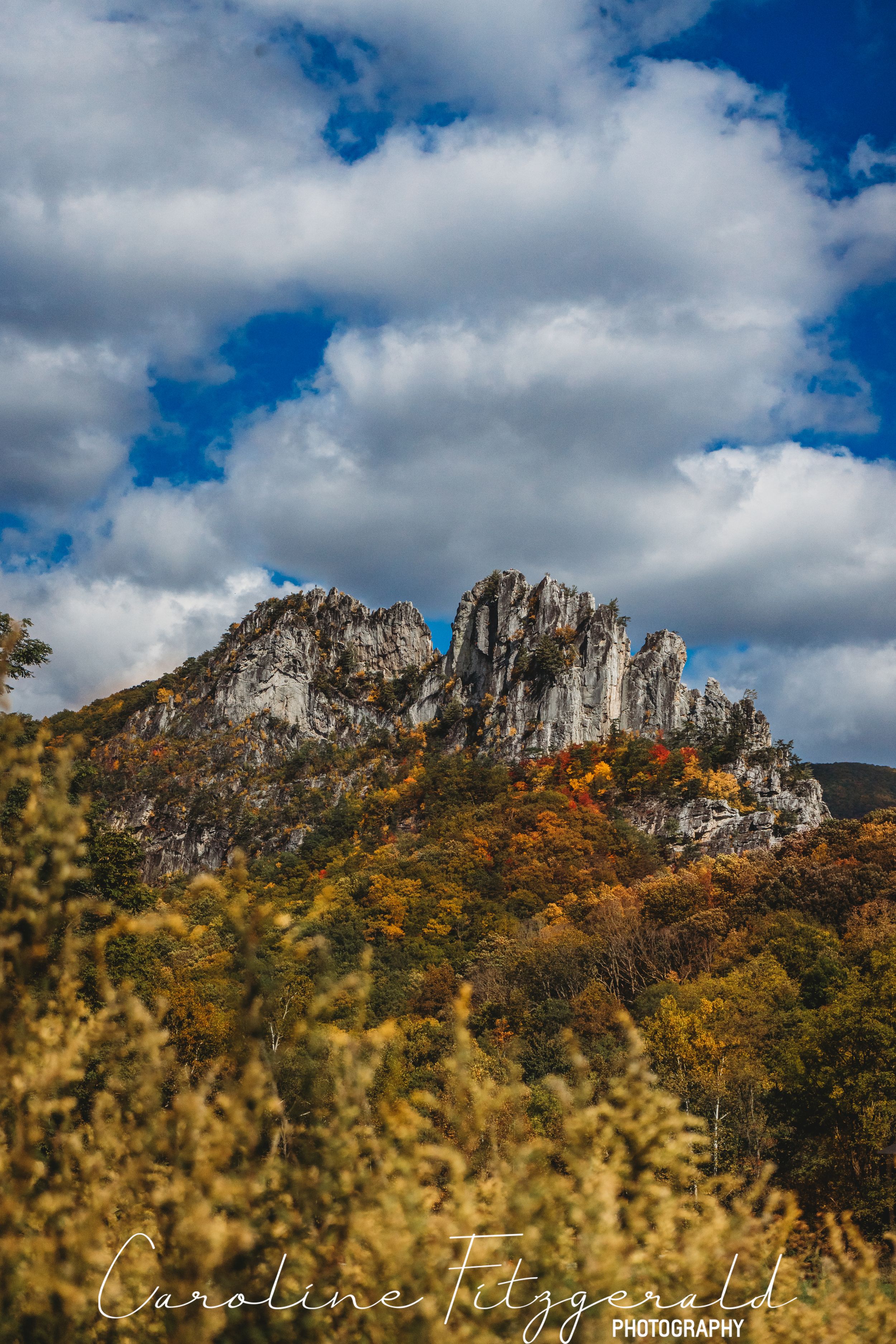 Caroline Fitzgerald Photography