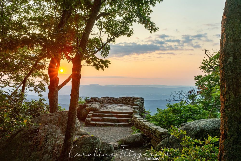 Caroline Fitzgerald Photography