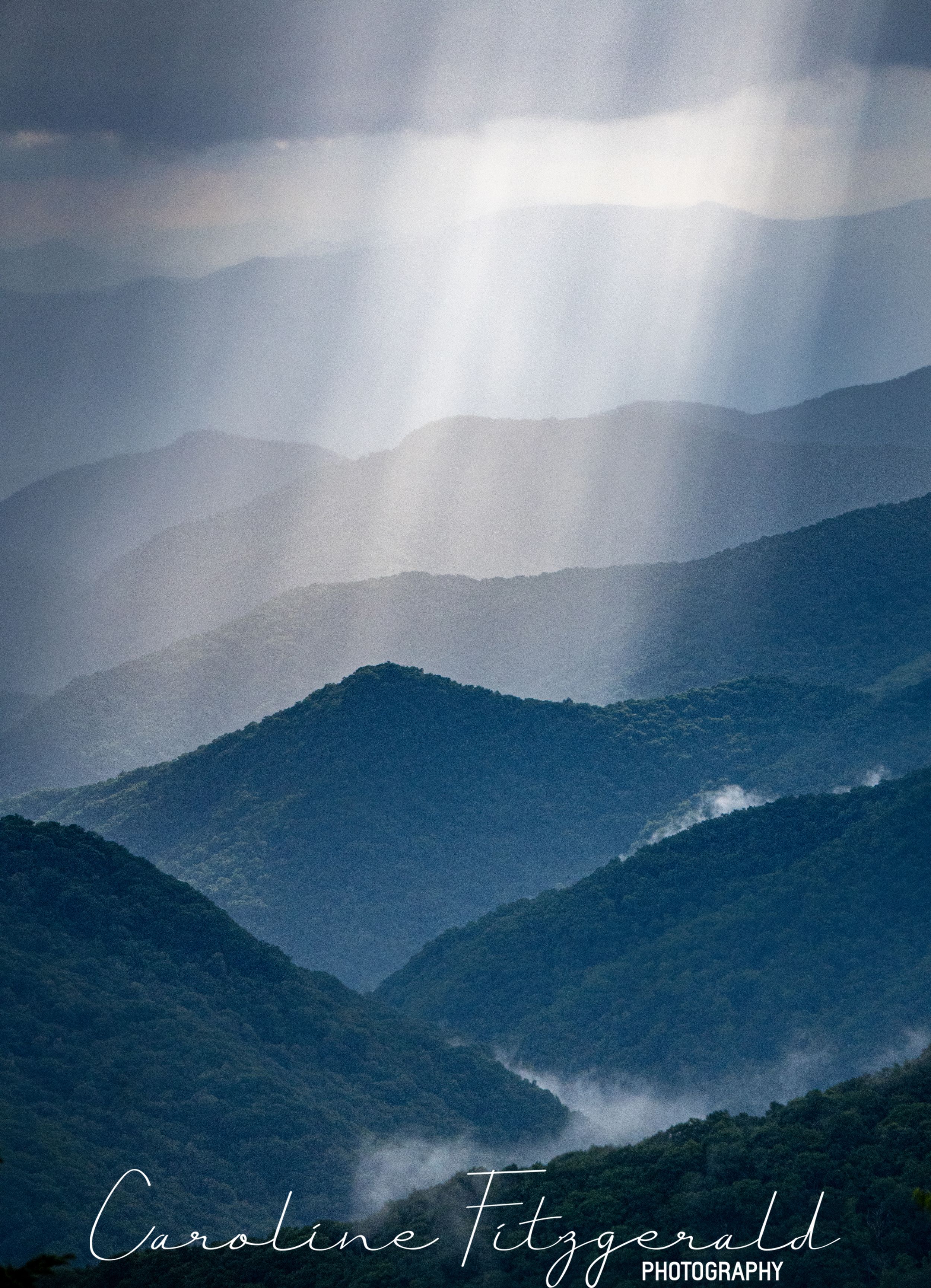 Caroline Fitzgerald Photography