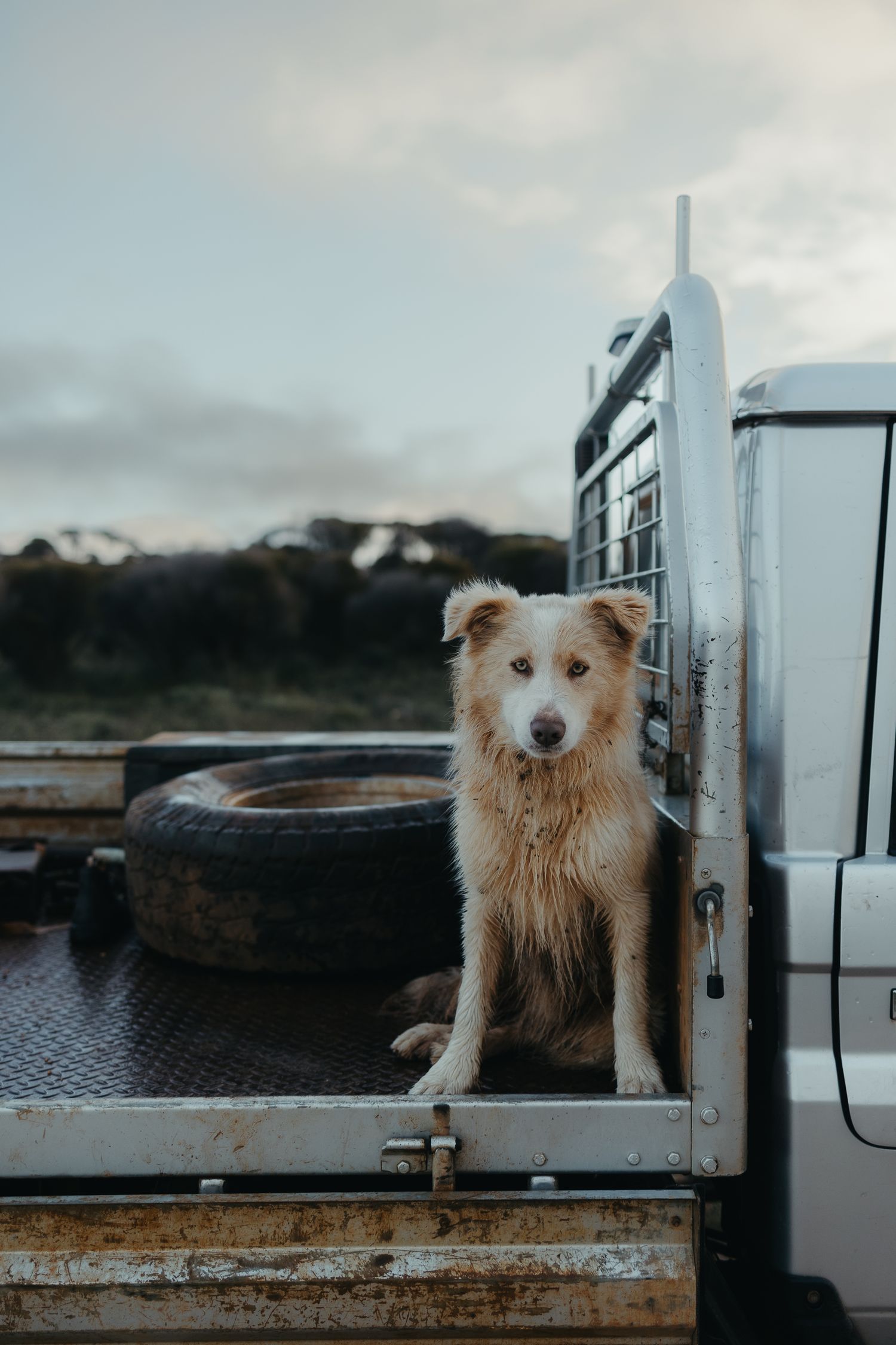 Chanelle Jane Photography