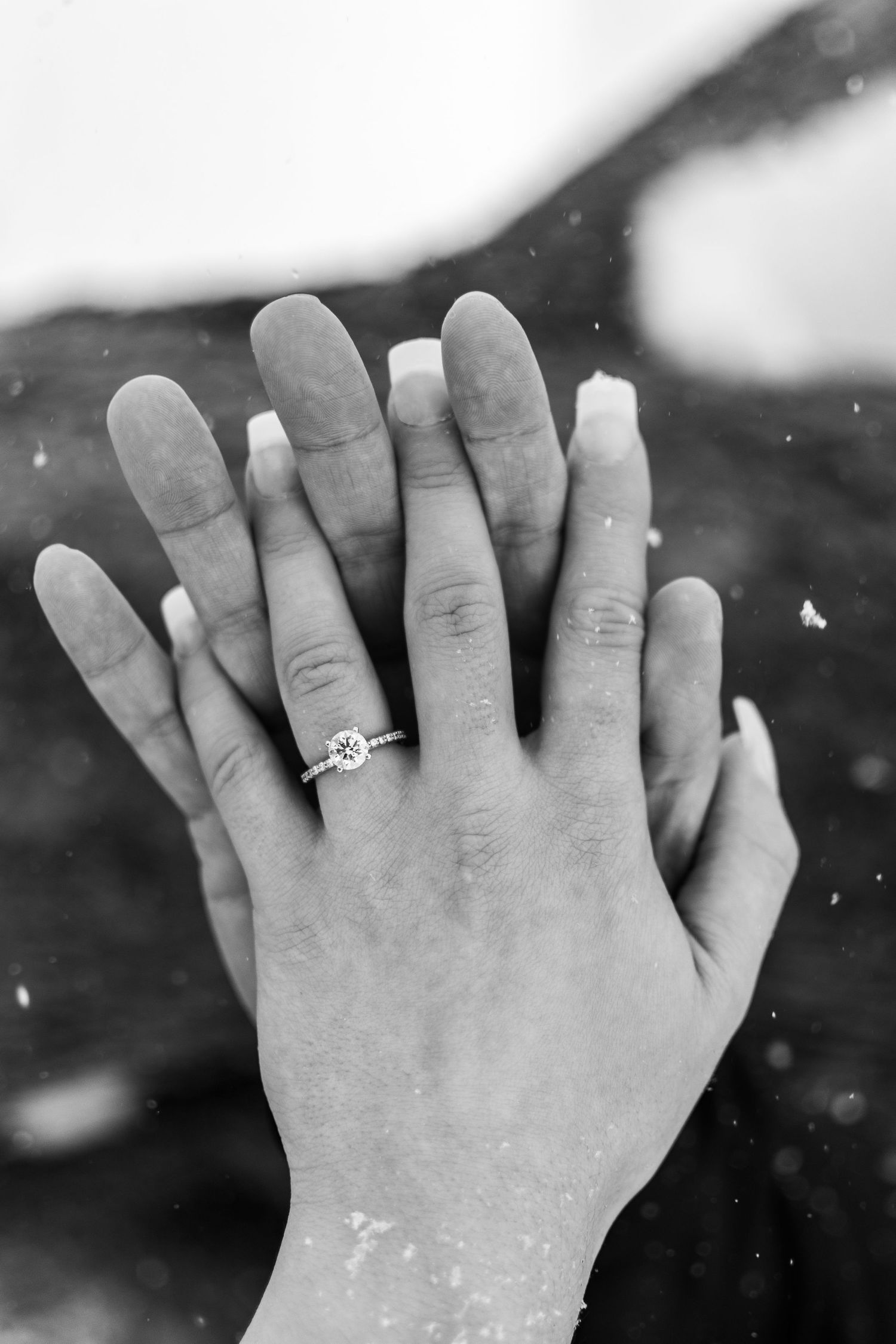 Colleen Warren Photography