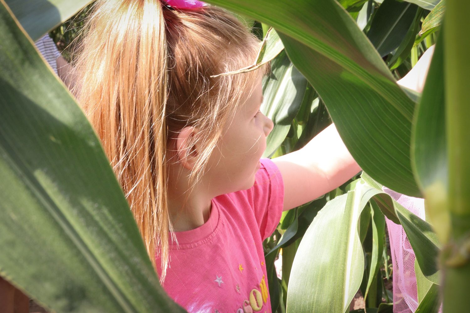 Family - Gemma Lloyd Photography