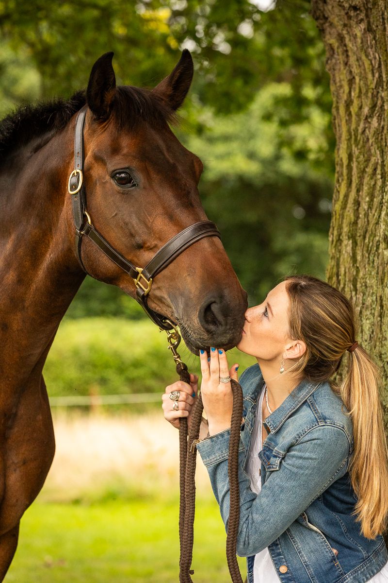 Millie, Evie & Nala - Imogen Moon ABIPP - Equine & Dog Photographer In ...