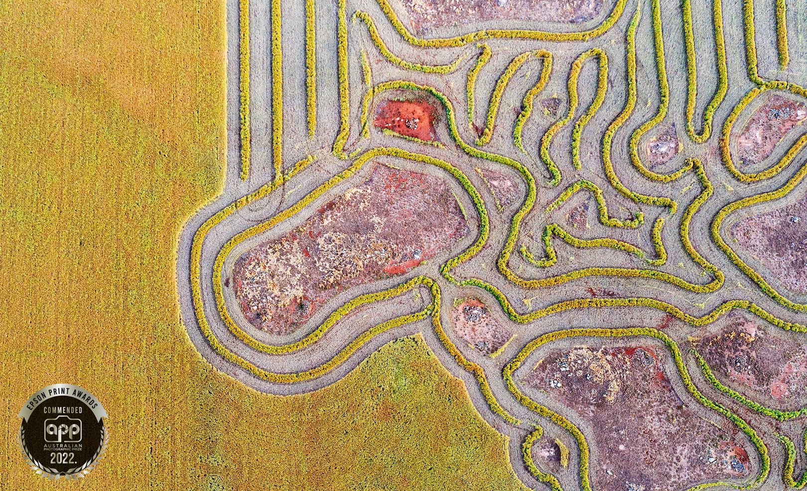 Landscapes - Natalie Davy Photography