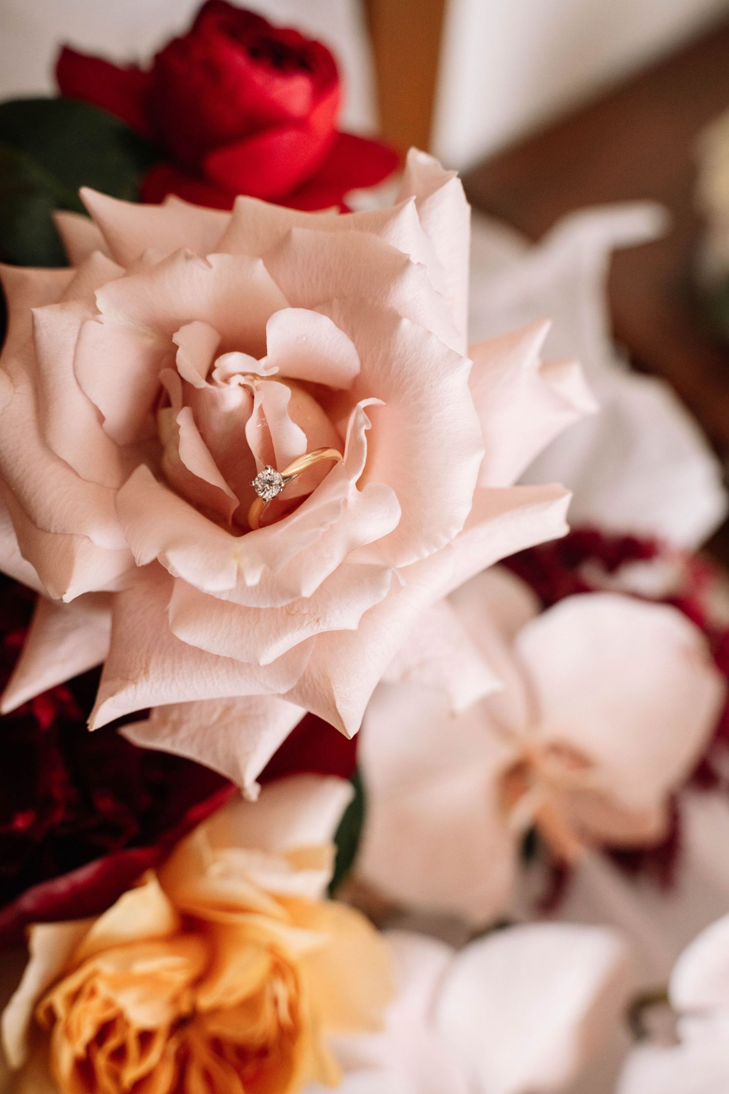 Elise & Lachlan - Phoebe Powell Photography