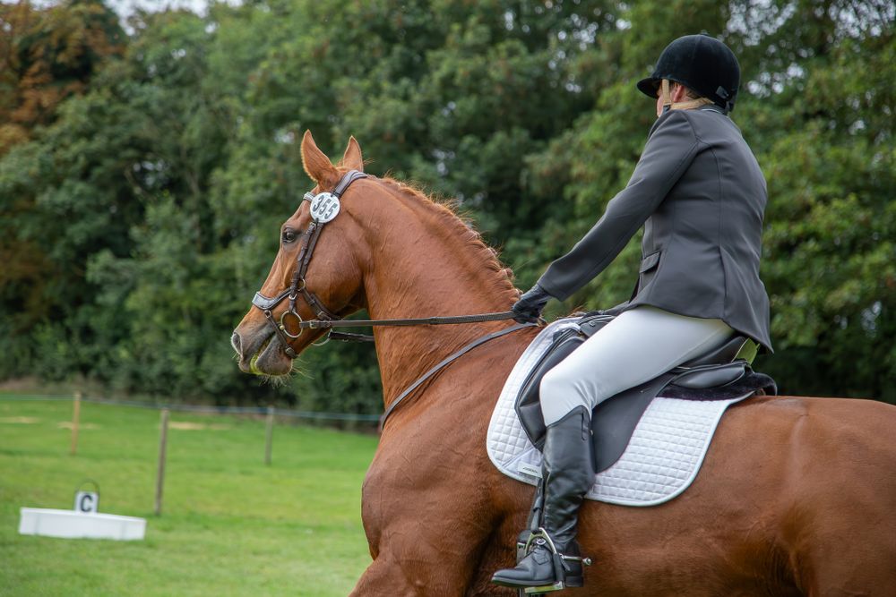 Equine Events - Huxley Graphics Photography