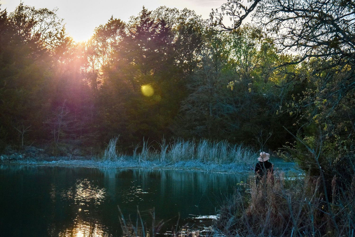Portfolio - Herman Photography