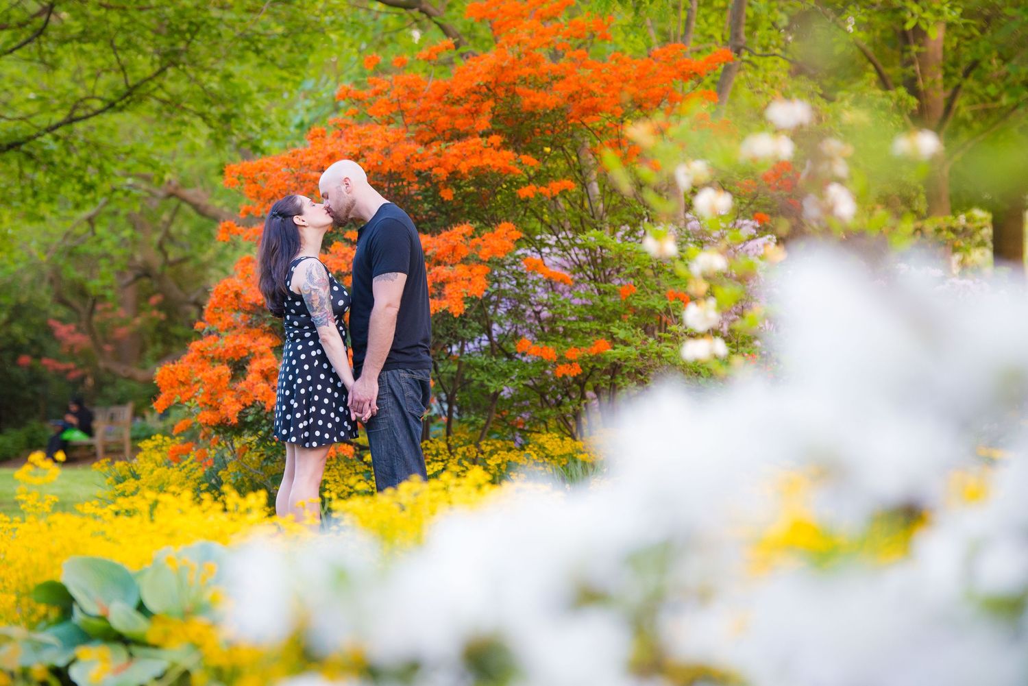 Azalea Garden Philadelphia - McShea Photography