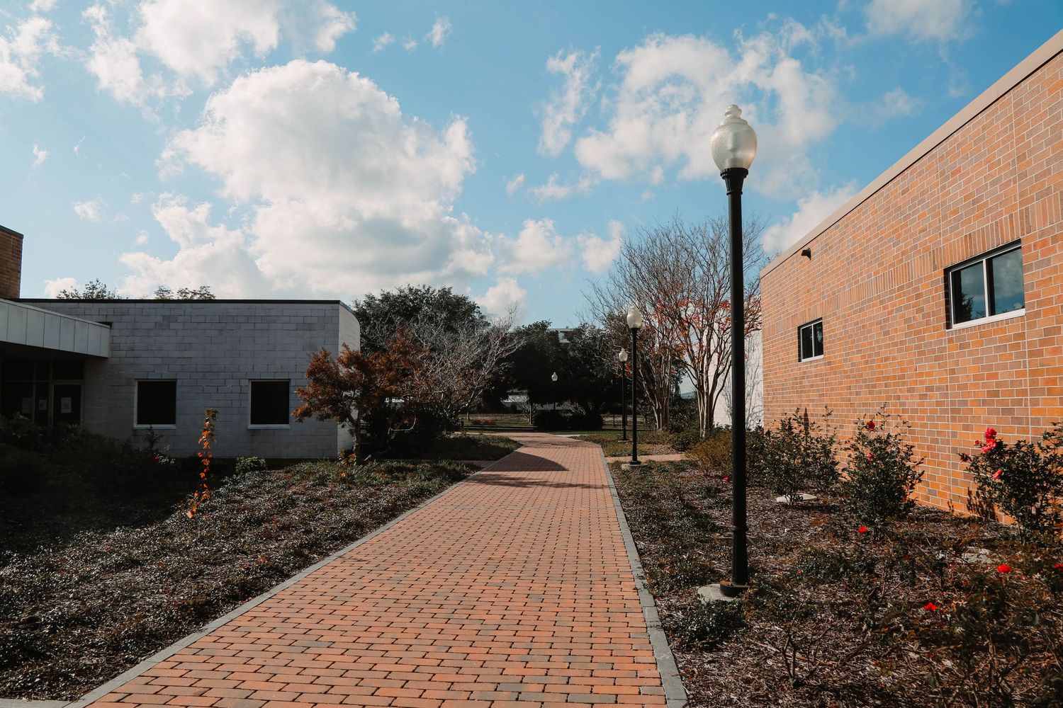 One Tree Hill Locations - Elizabeth Joanna Photography