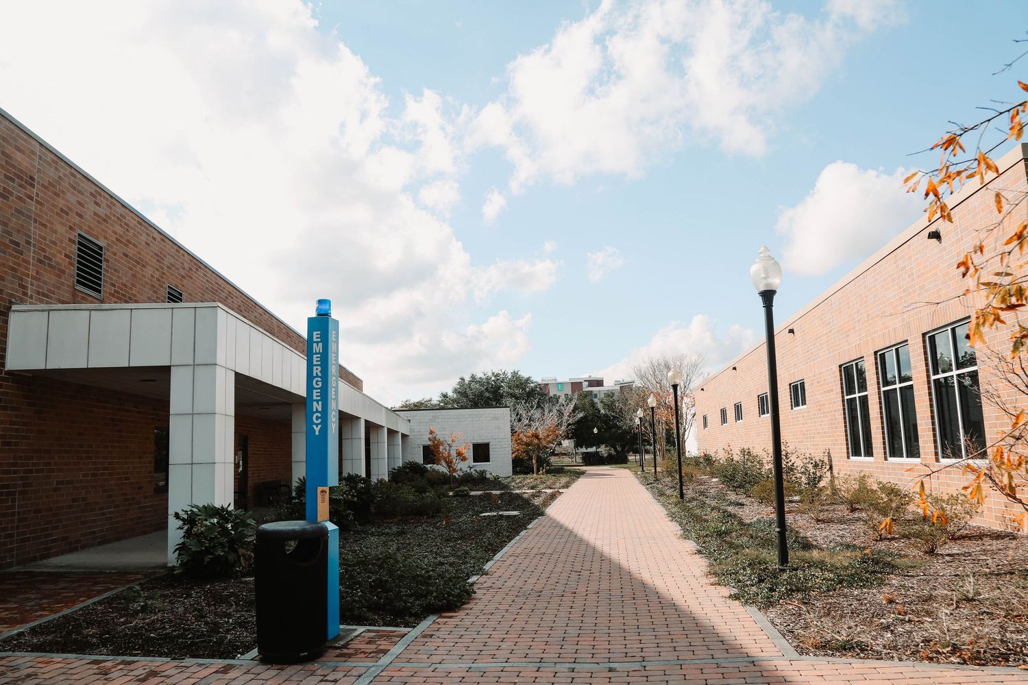 One Tree Hill Locations - Elizabeth Joanna Photography