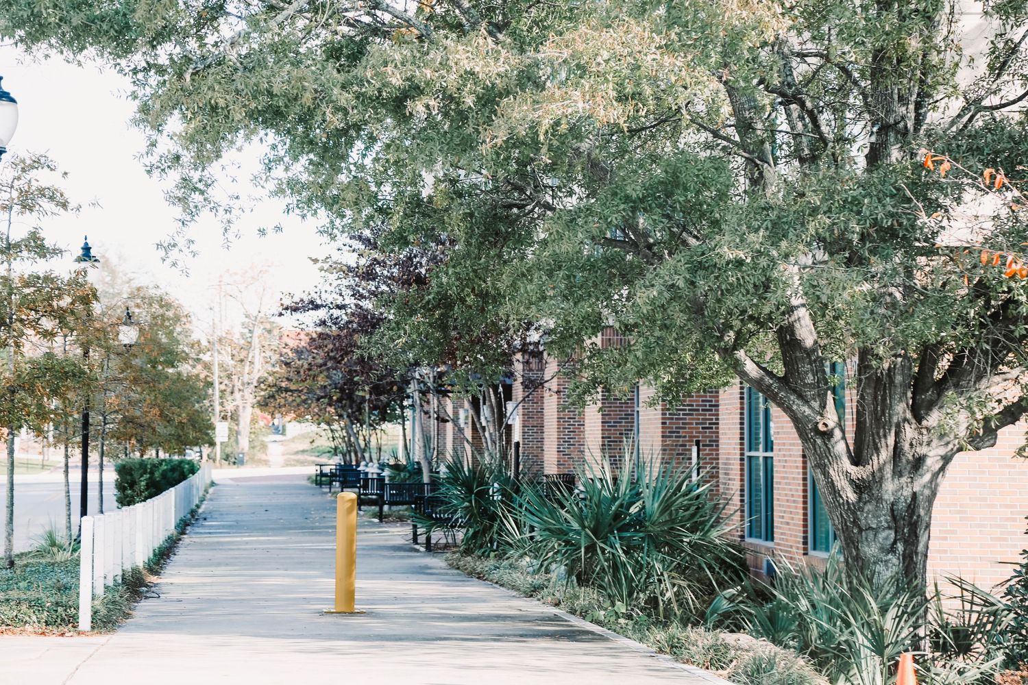 One Tree Hill Locations - Elizabeth Joanna Photography