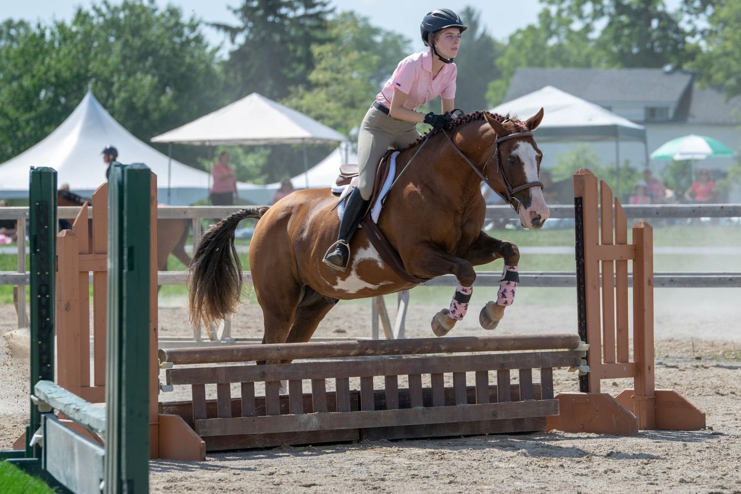 Client Gallery - Rein Images