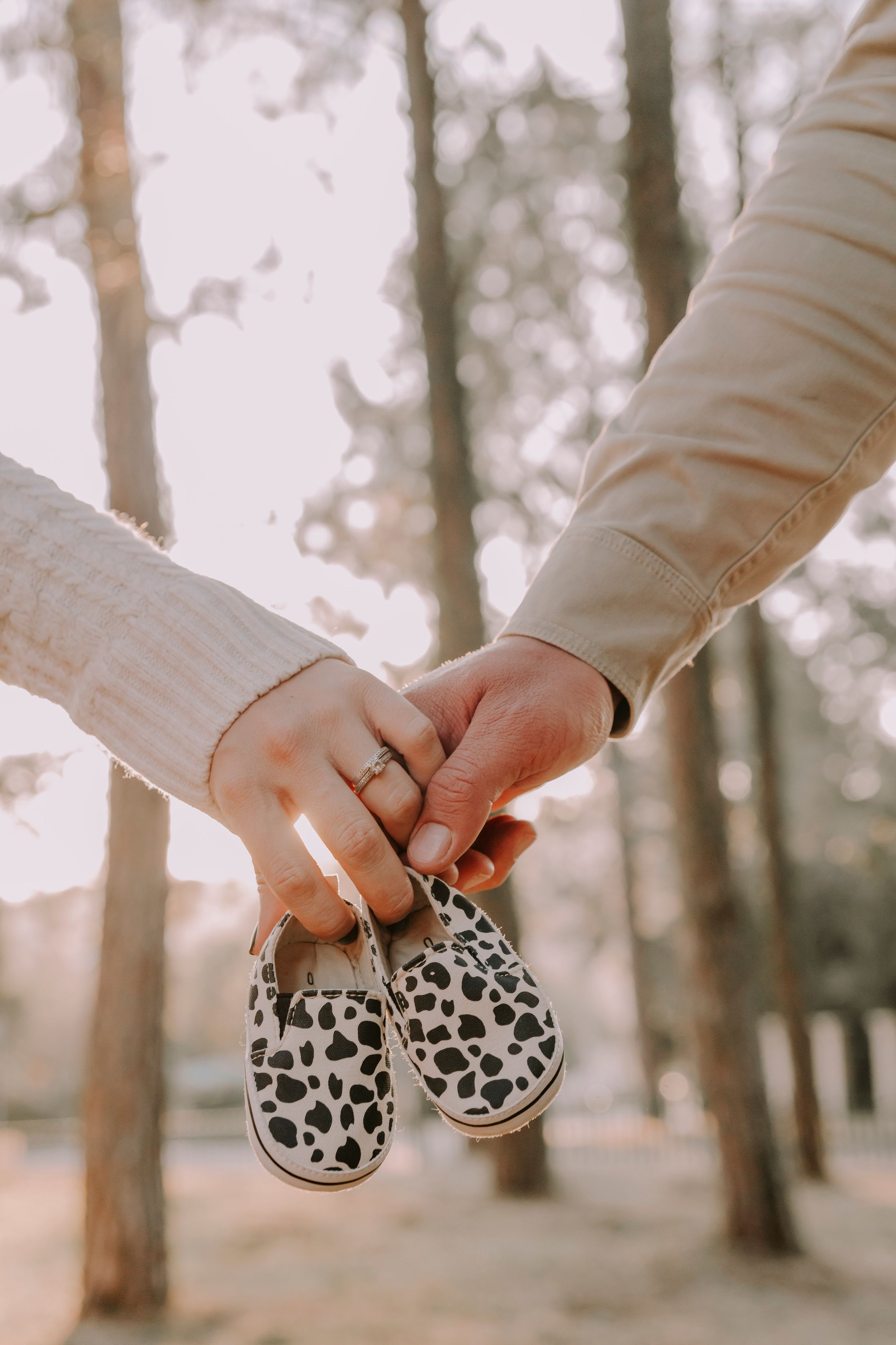 Sean Drury Photography