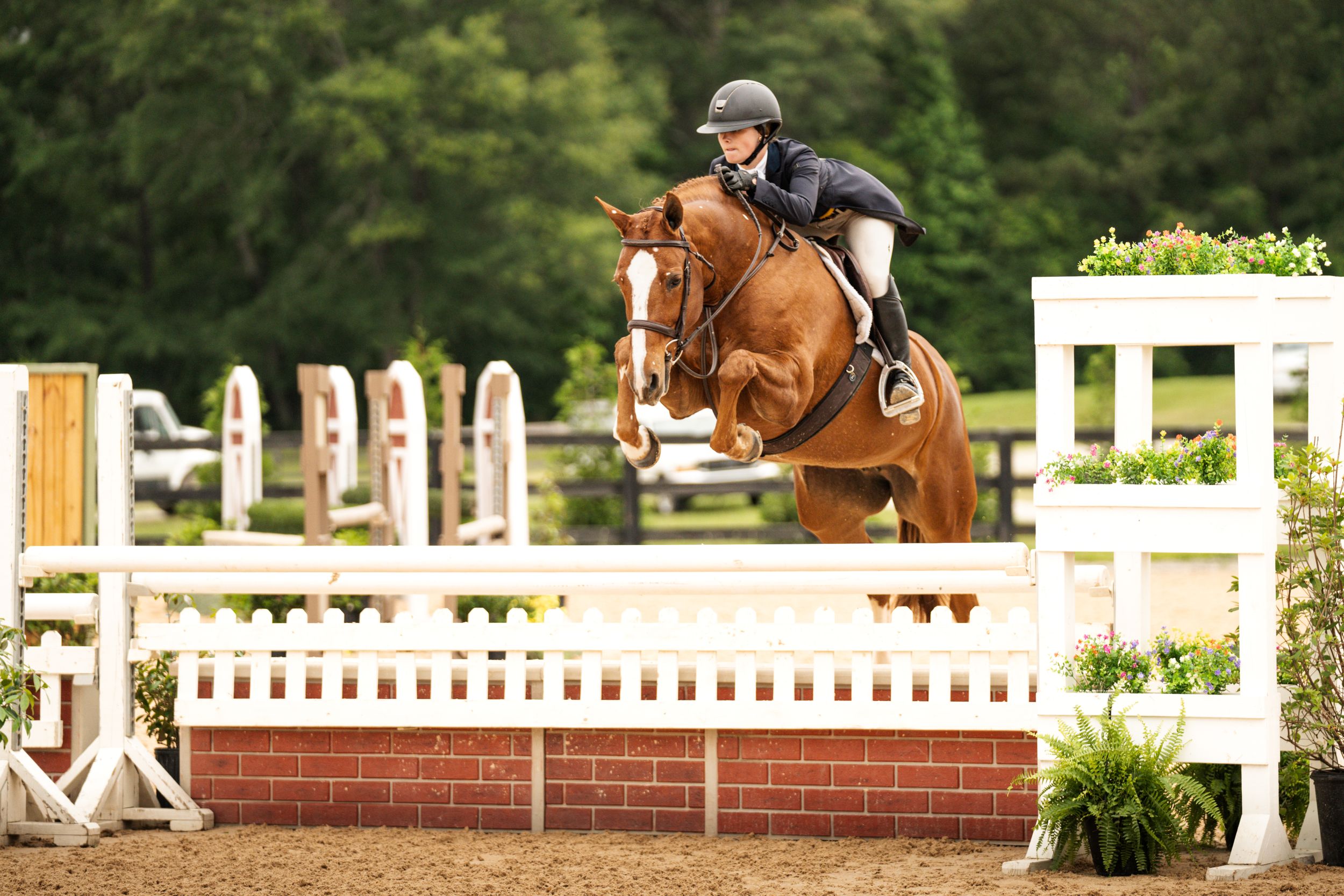 Horse Show Galleries - Buck It Equine, LLC