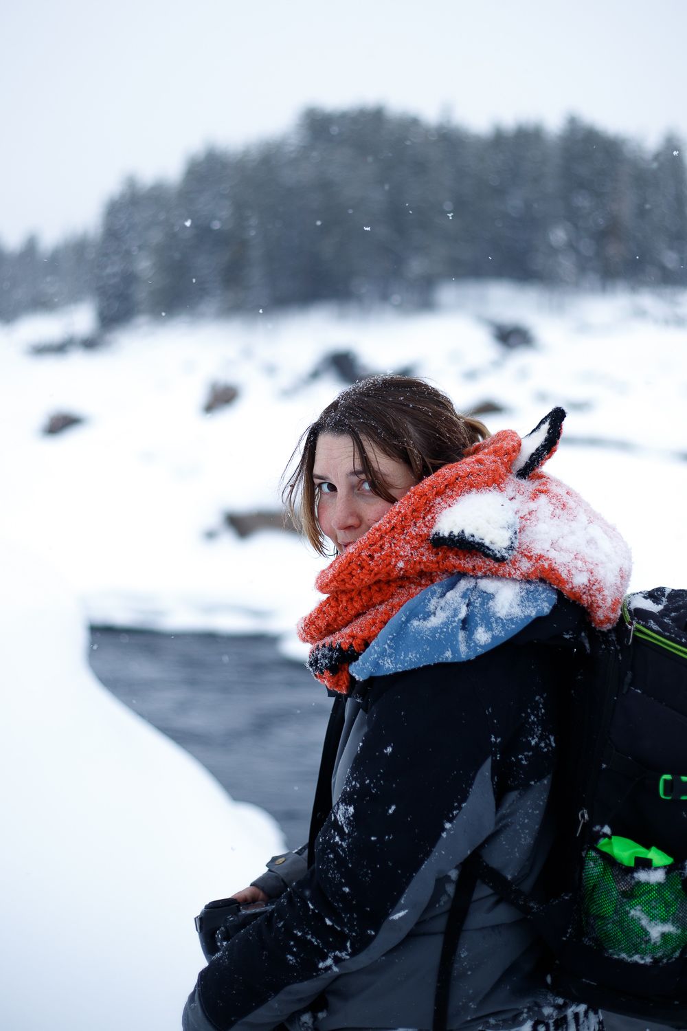 Horses' Art - Elsa MEIER