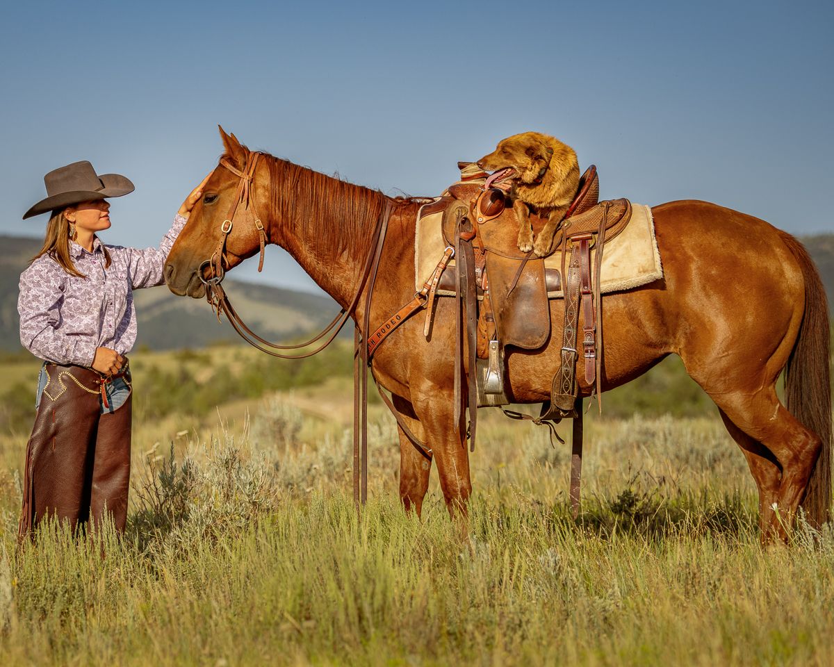 Contact - Patti Monson Photography