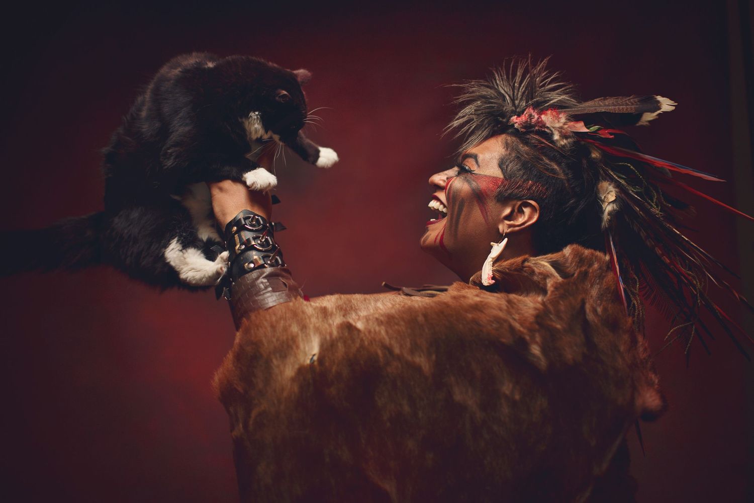 Cat Invasion - Tonya Barnes Photography