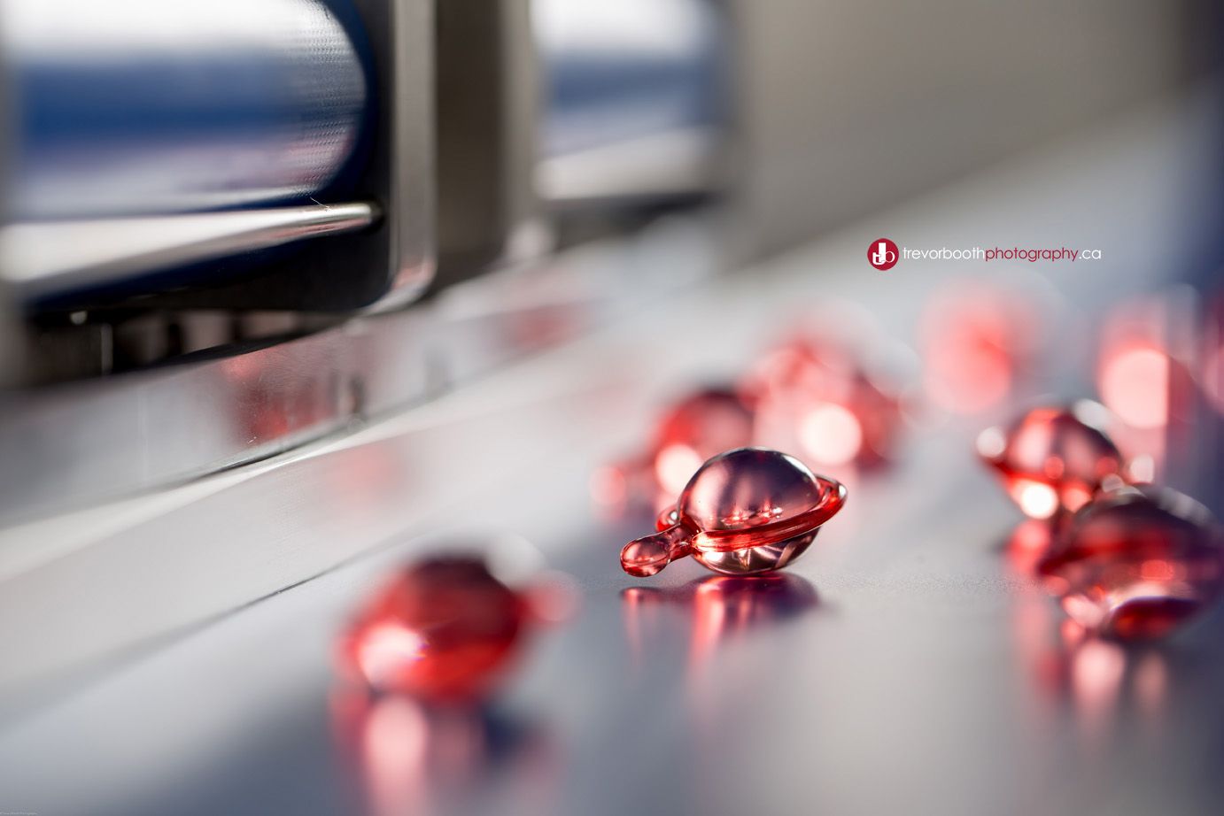 Trevor Booth Photography