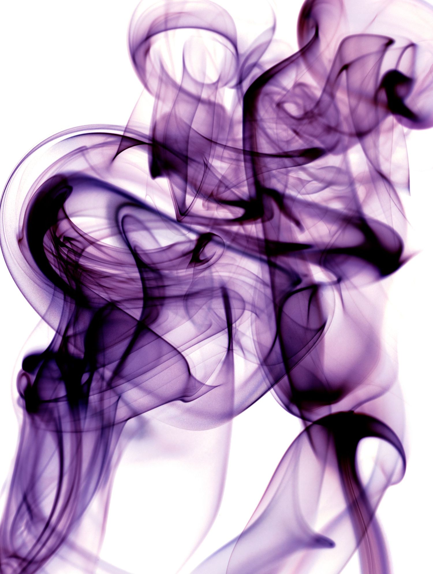 Portfolio - Tom Adams Media - The experts in media!