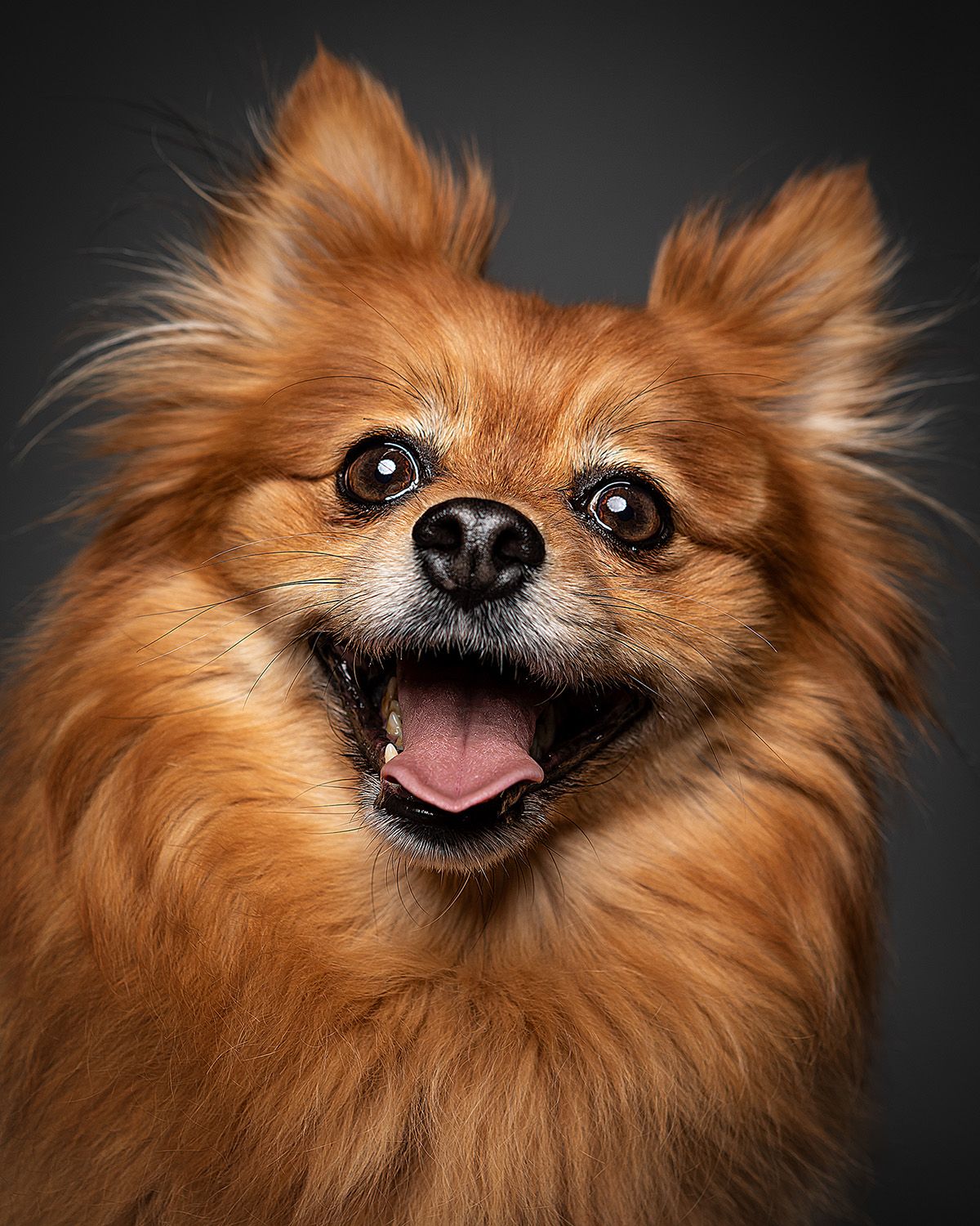 Fashion - Mark Ramm Photography