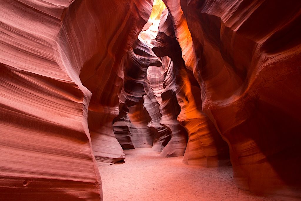 Sharon Potts Photography