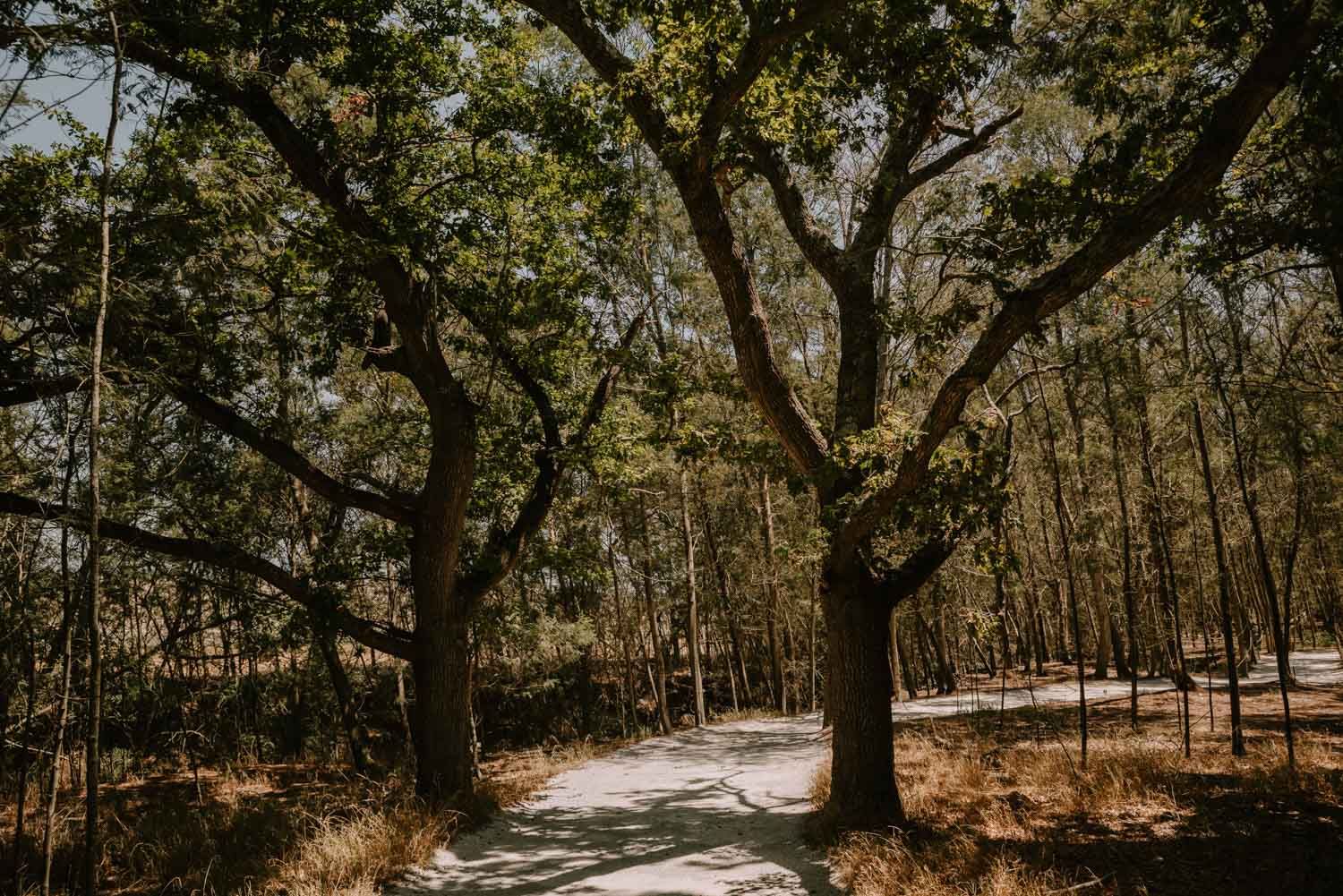 MIKE + STEPHANIE | DIE WOUD, CALEDON - Cape Town Photographer | Jana ...