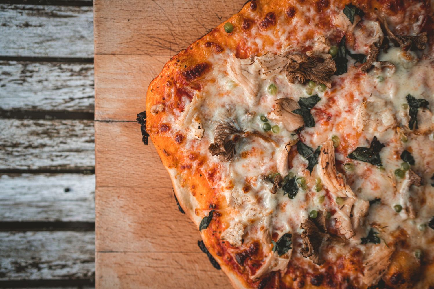Recipes: Wild Mushroom Pizza - The Grizzly Forager: The Definitive ...