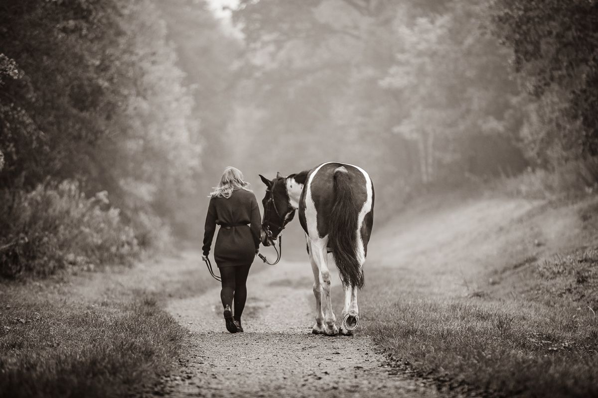 5 FAQs About An Equine Photoshoot In Autumn - Imogen Moon ABIPP ...