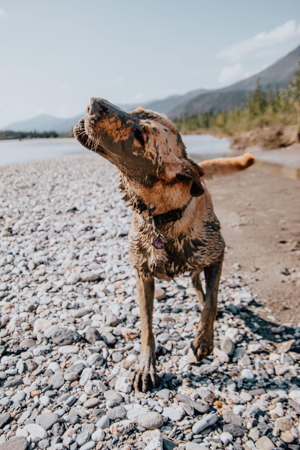 Brooks Range: Adventuring North with My Yellow Girl - Kelly Reynolds ...